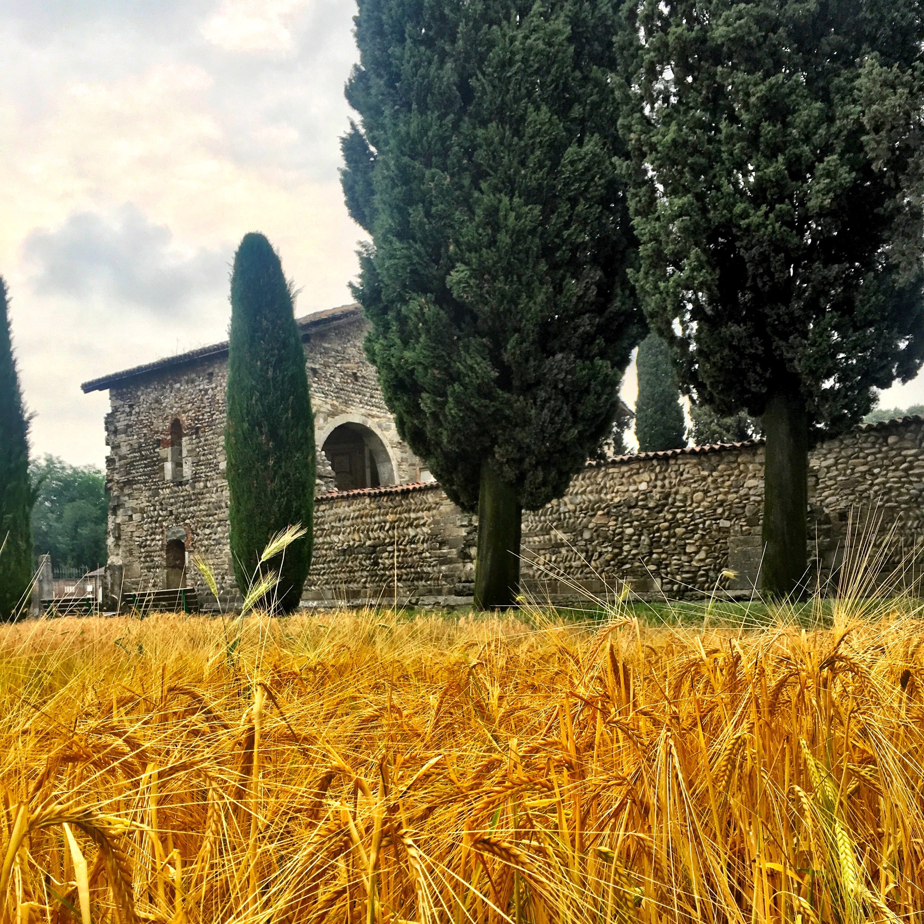 Scoprire la Basilica di Santa Giulia di Bonate Sotto